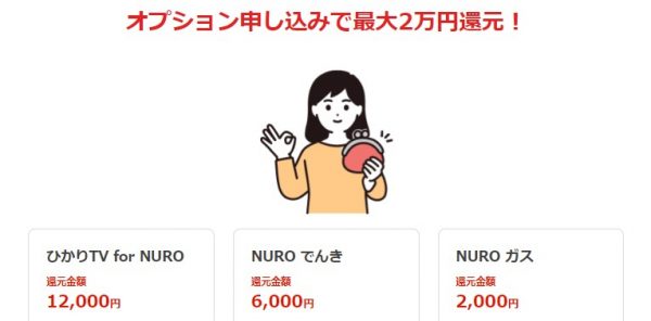 auひかりからNURO 光への乗り換え手続きの流れを詳しく解説！ – 光回線トリビア